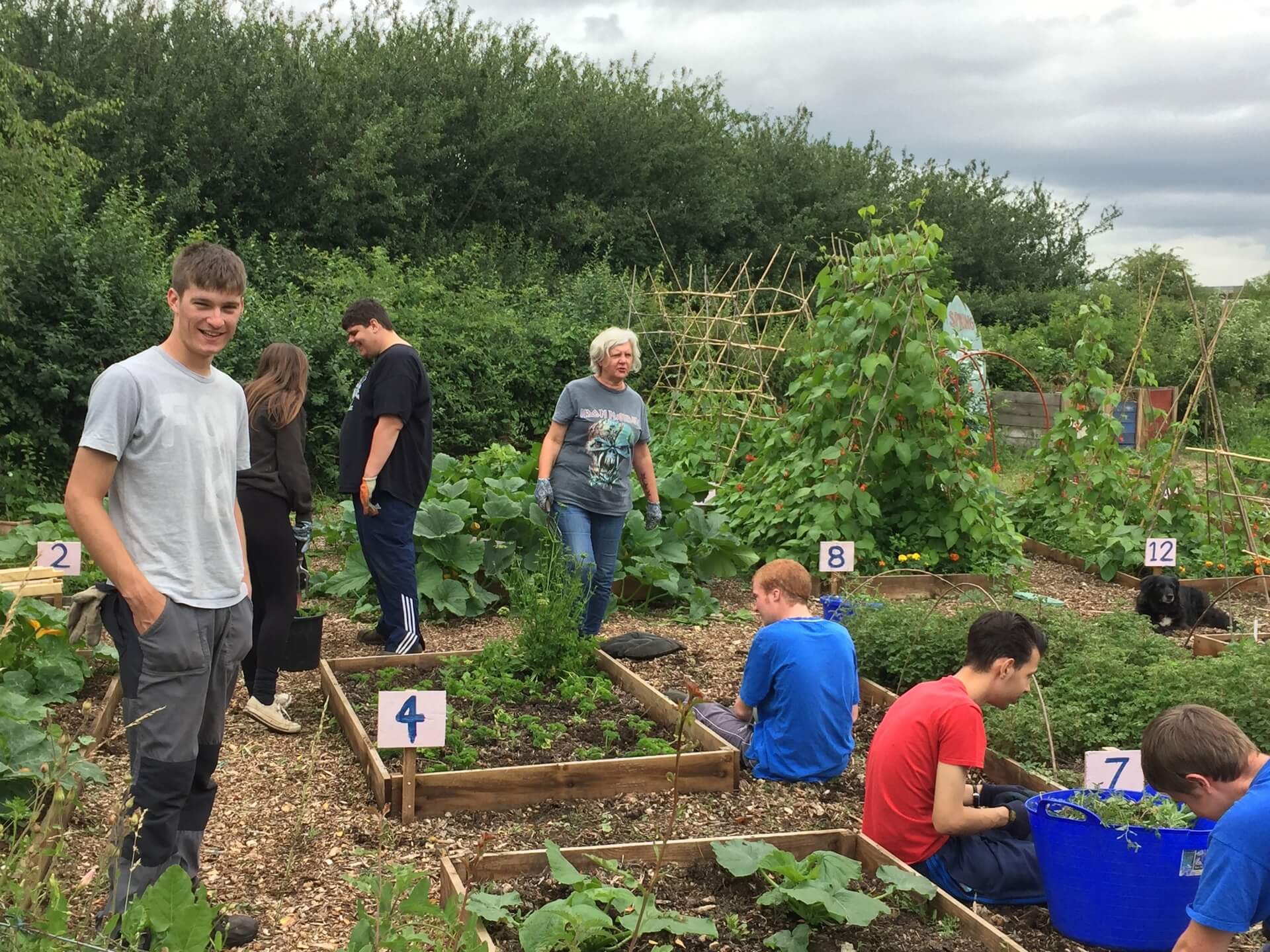 Gardening for Wellbeing – Mudlarks Garden