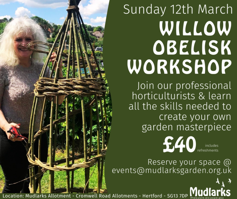 Willow Workshop 12th March – Mudlarks Garden